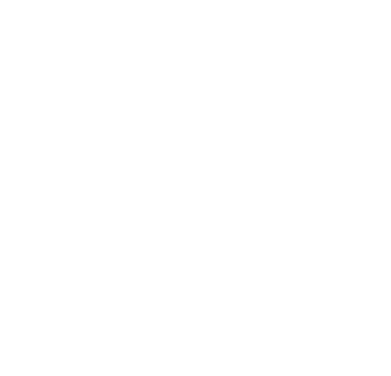 About Us - BIG Language Solutions